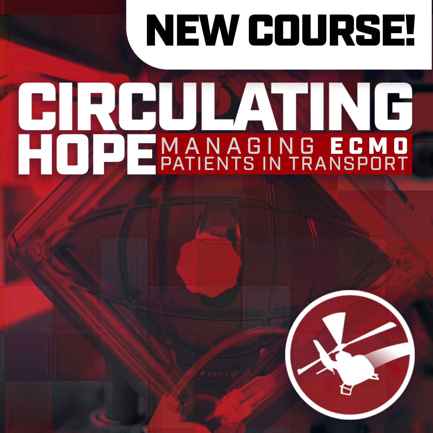 Explore More from FlightBridgeED – FlightBridgeED